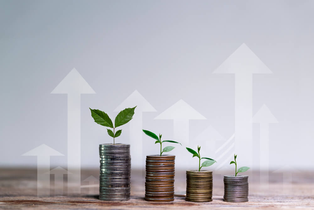 Rentabilidade de ações: O que é e como calcular! - Riconnect